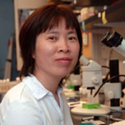 Genetics Area Program Faculty | Genetics Area Program